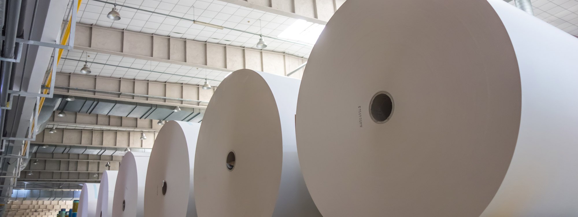 Pulp and Paper Equipment Manufacturers’ Guide to Polymer Components